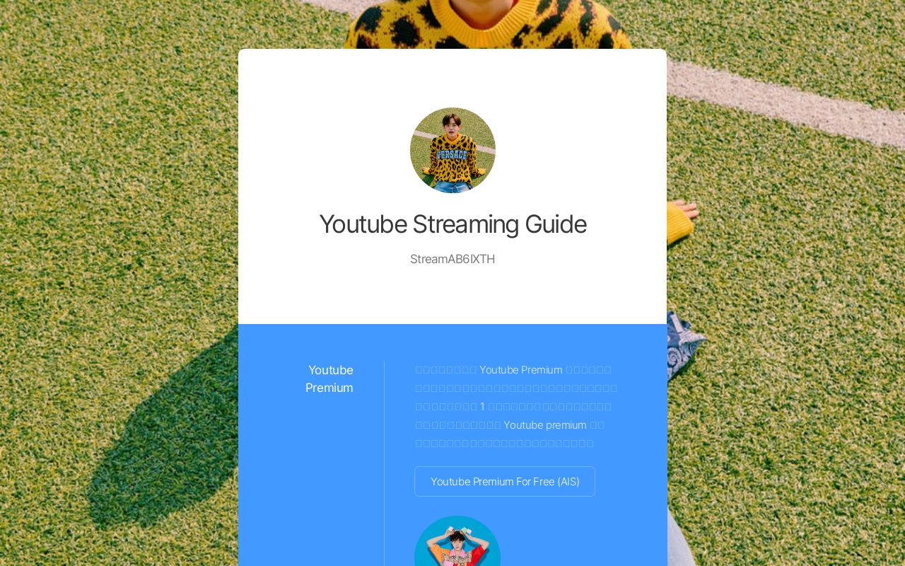 youtube streaming guide